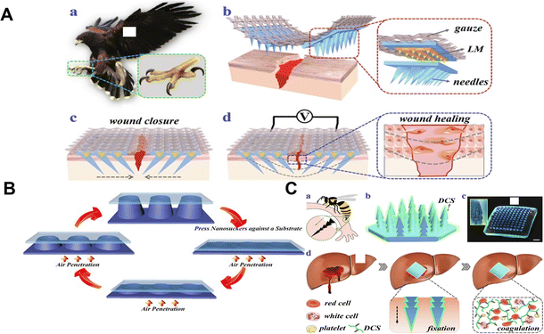 Smart microneedle patches for wound healing and management - Journal of ...