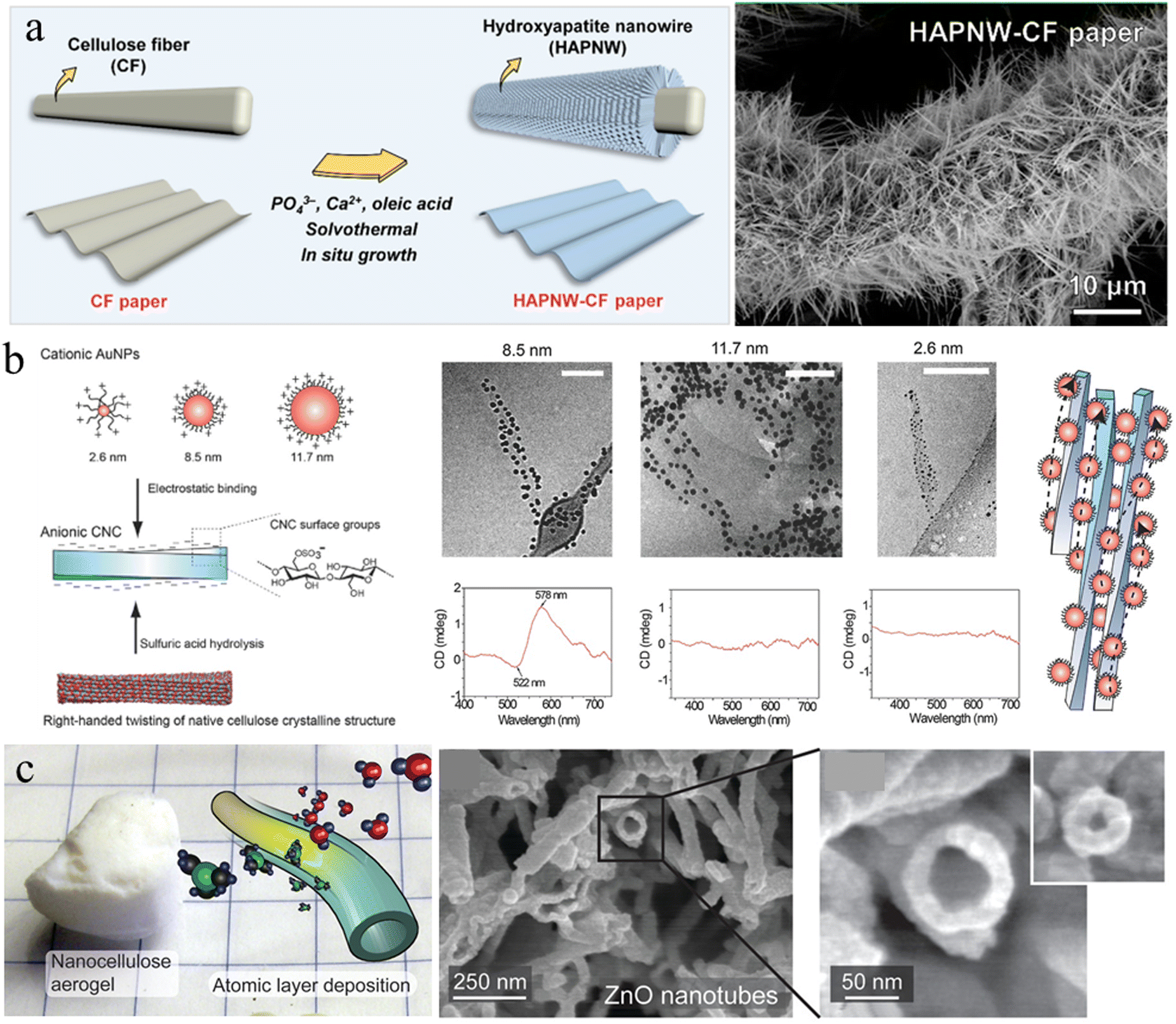 Organized mineralized cellulose nanostructures for biomedical applications - Journal of ...