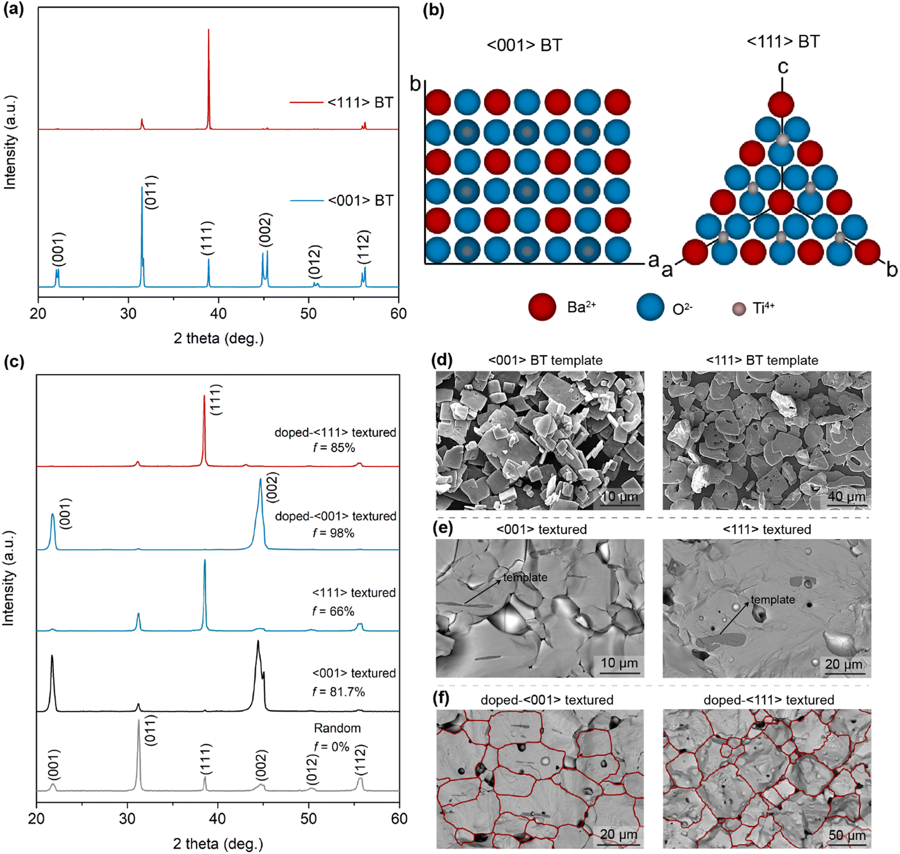 Textured Piezoelectric Ceramics at Alyssa Wekey blog