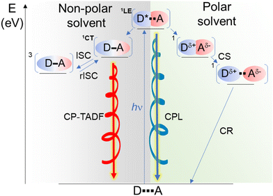 Negative solvatochromism and sign inversion of circularly polarized ...