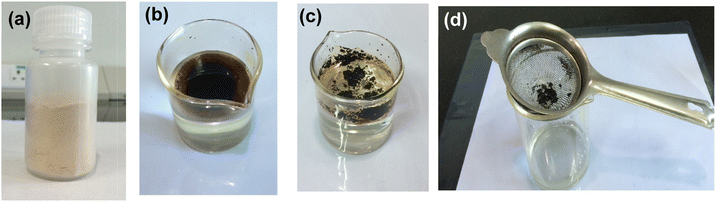 A facile scalable hydrophobic biocomposite for oil spill cleanup ...