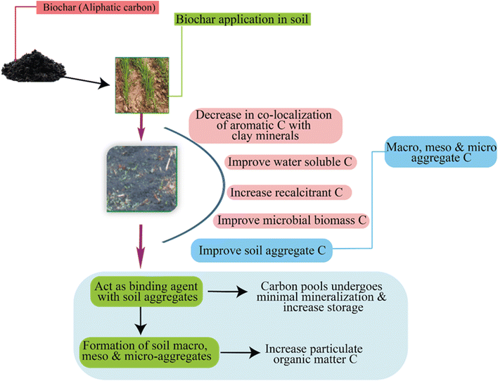 Biochar implications in cleaner agricultural production and ...