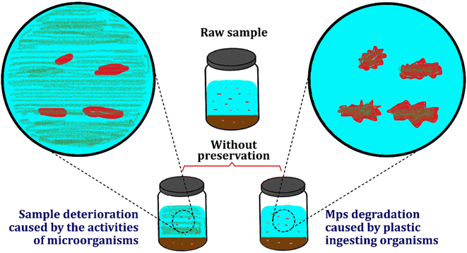 Preservation, storage, and sample preparation methods for freshwater ...