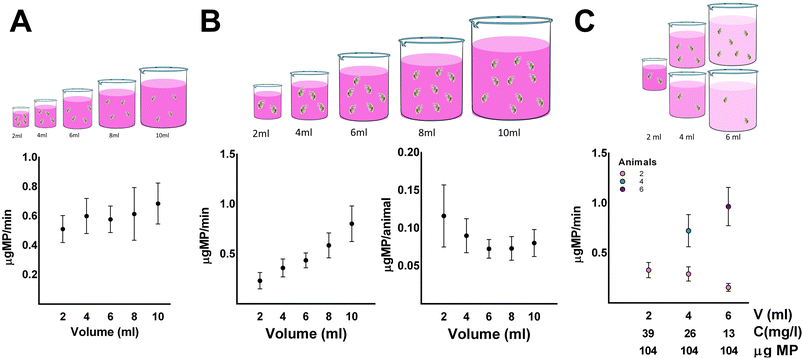 Development and application of a sensitive feeding assay for daphnids ...