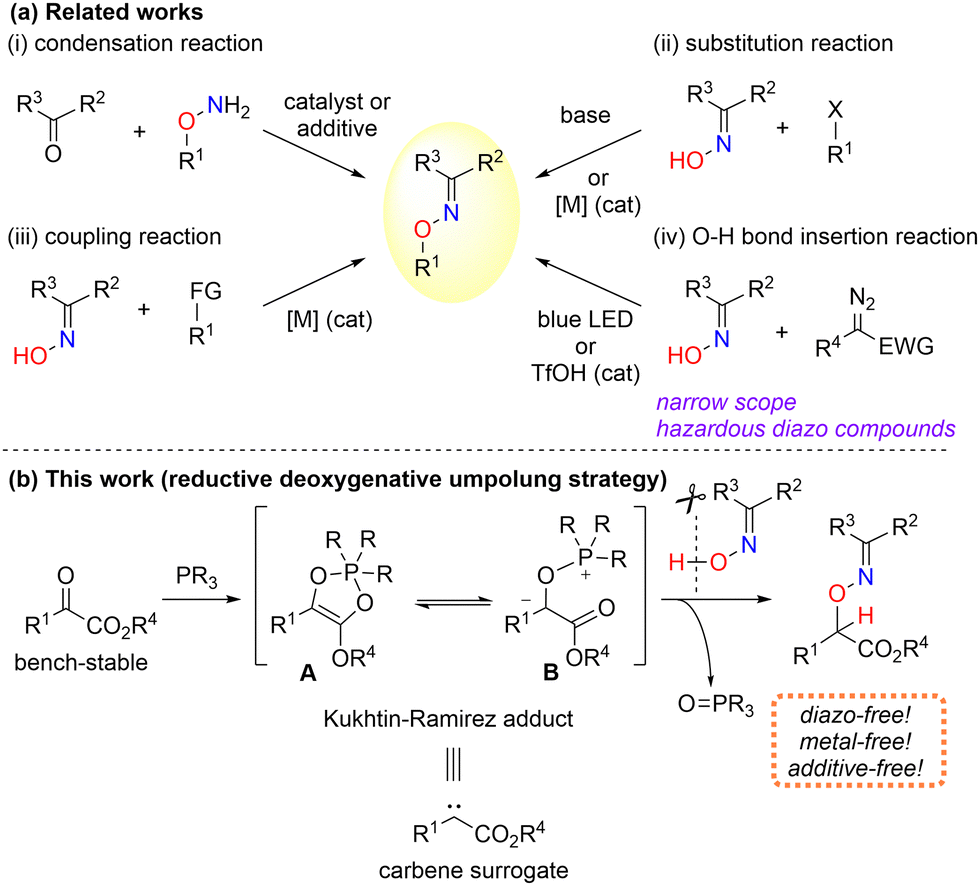 Synthesis of oxime ethers via a formal reductive O–H bond insertion of ...