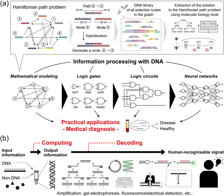Harnessing DNA computing and nanopore decoding for practical ...
