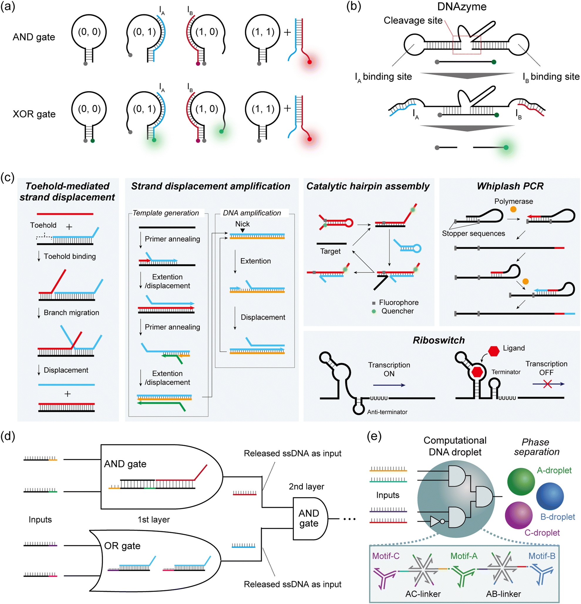 Harnessing DNA computing and nanopore decoding for practical applications: from informatics to ...