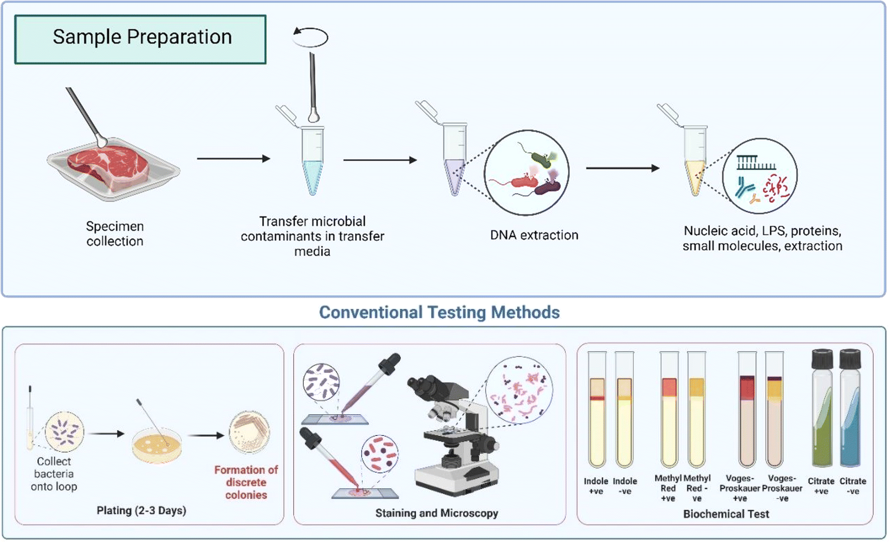 Resilient sustainable current and emerging technologies for foodborne pathogen detection ...
