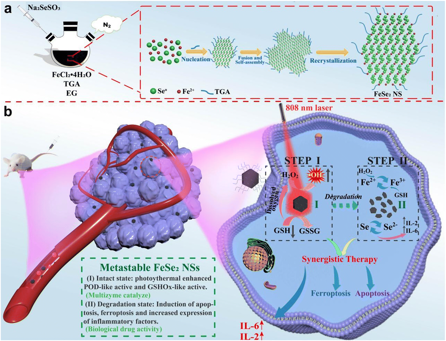 Metastable FeSe 2 nanosheets as a one-for-all platform for Metastable FeSe 2 nanosheets as a one-for-all platform for
