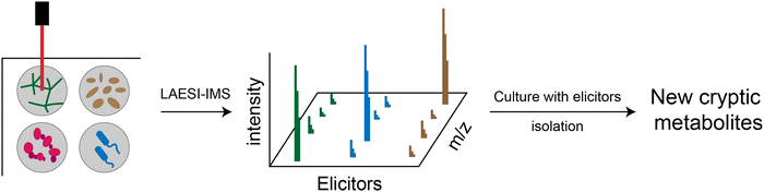 Discovery and engineering of ribosomally synthesized and post ...