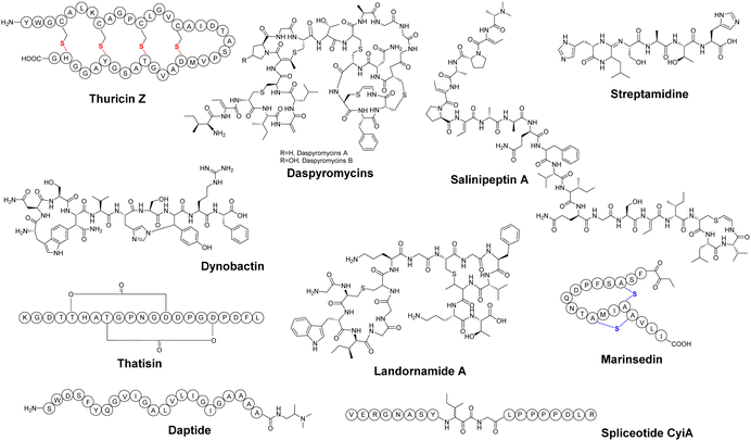 Discovery and engineering of ribosomally synthesized and post ...