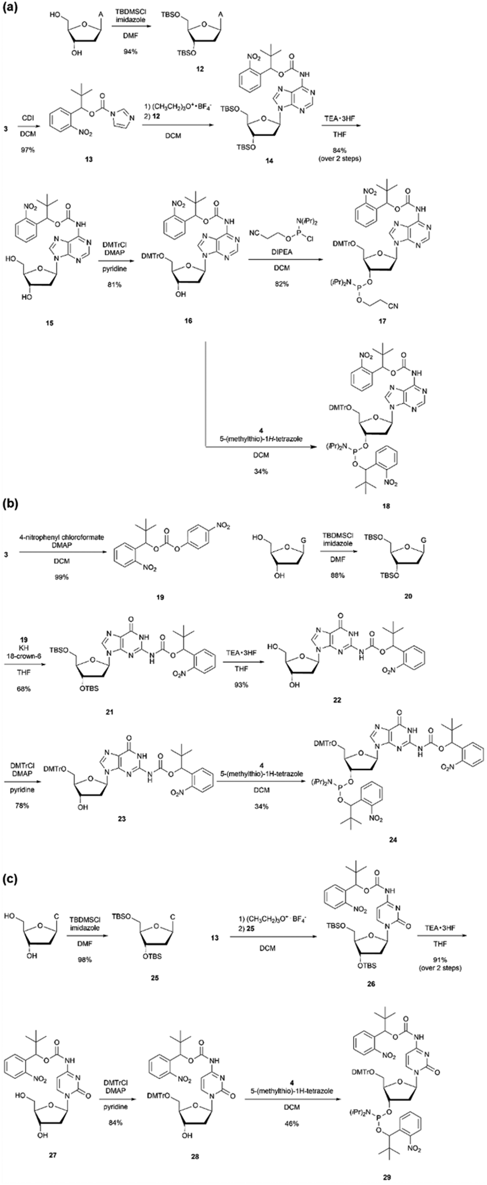 Development of PCR primers enabling the design of flexible sticky ends ...