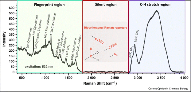 Biomedical applications, perspectives and tag design concepts in the ...