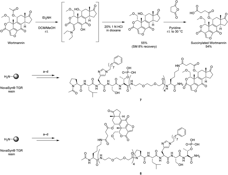 Affinity enhancement of polo-like kinase 1 polo box domain-binding ...