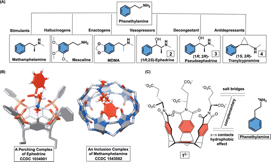 Molecular baskets form inclusion complexes with phenethylamine drugs in ...