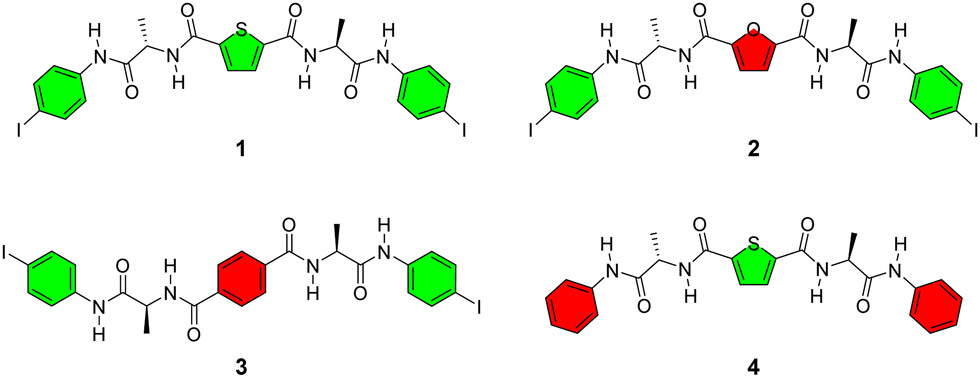 Noncovalent interaction network of chalcogen, halogen and hydrogen ...