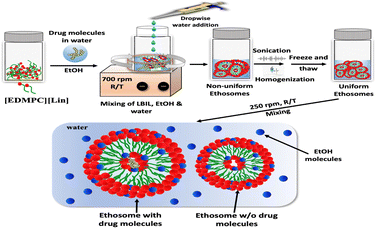 Ionic liquid-mediated ethosome for transdermal delivery of insulin ...
