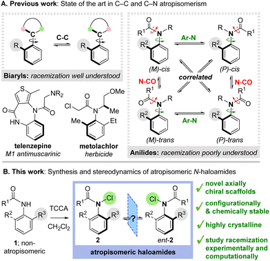 Synthesis, structure and stereodynamics of atropisomeric N ...