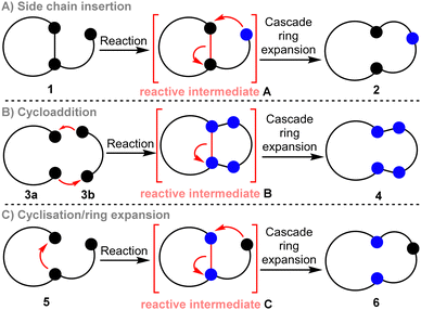 Cascade ring expansion reactions for the synthesis of medium-sized ...