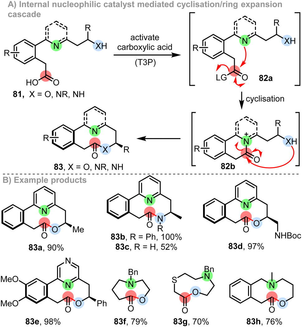 Cascade ring expansion reactions for the synthesis of medium-sized ...