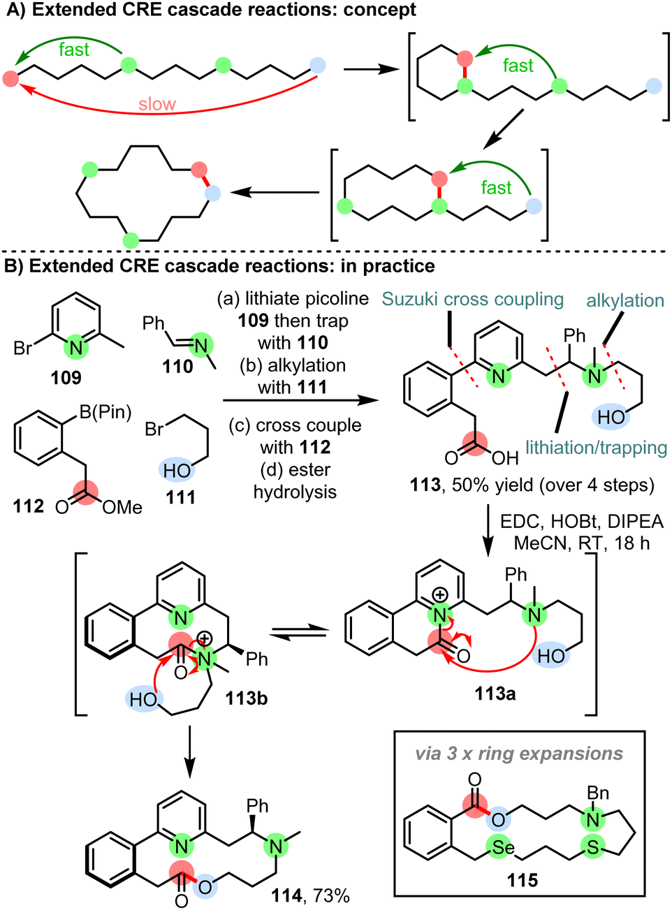 Cascade ring expansion reactions for the synthesis of medium-sized ...