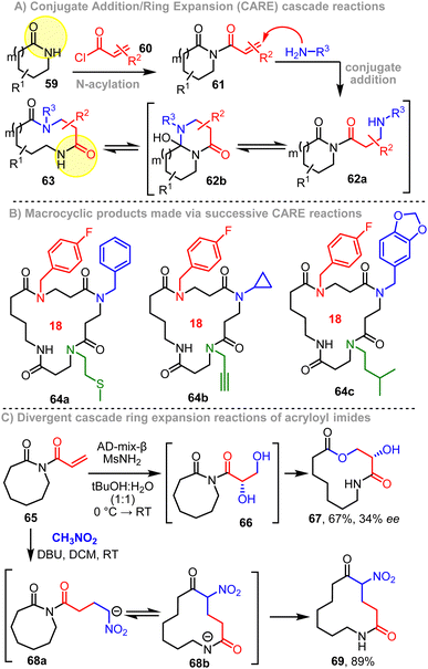 Cascade ring expansion reactions for the synthesis of medium-sized ...