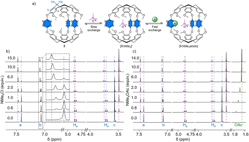 Self-assembled tetrazine cryptophane for ion pair recognition and guest ...