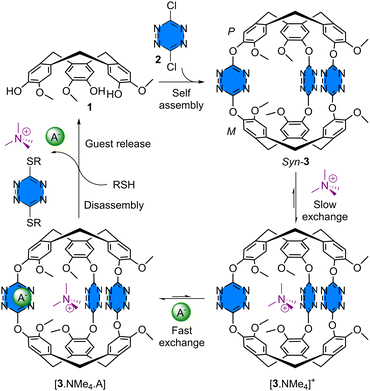 Self-assembled tetrazine cryptophane for ion pair recognition and guest ...