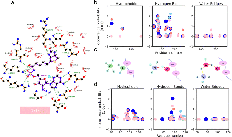 Elucidation of protein–ligand interactions by multiple trajectory ...