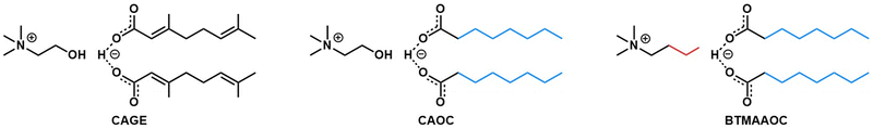 Understanding the effects of targeted modifications on the 1:2 Choline ...