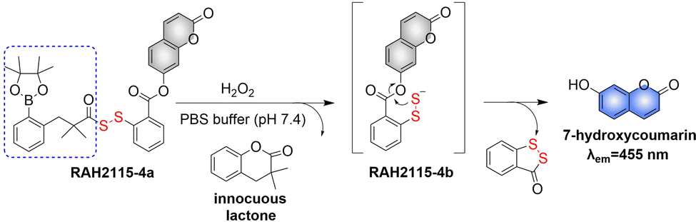 Fluorescent small molecule donors - Chemical Society Reviews (RSC ...