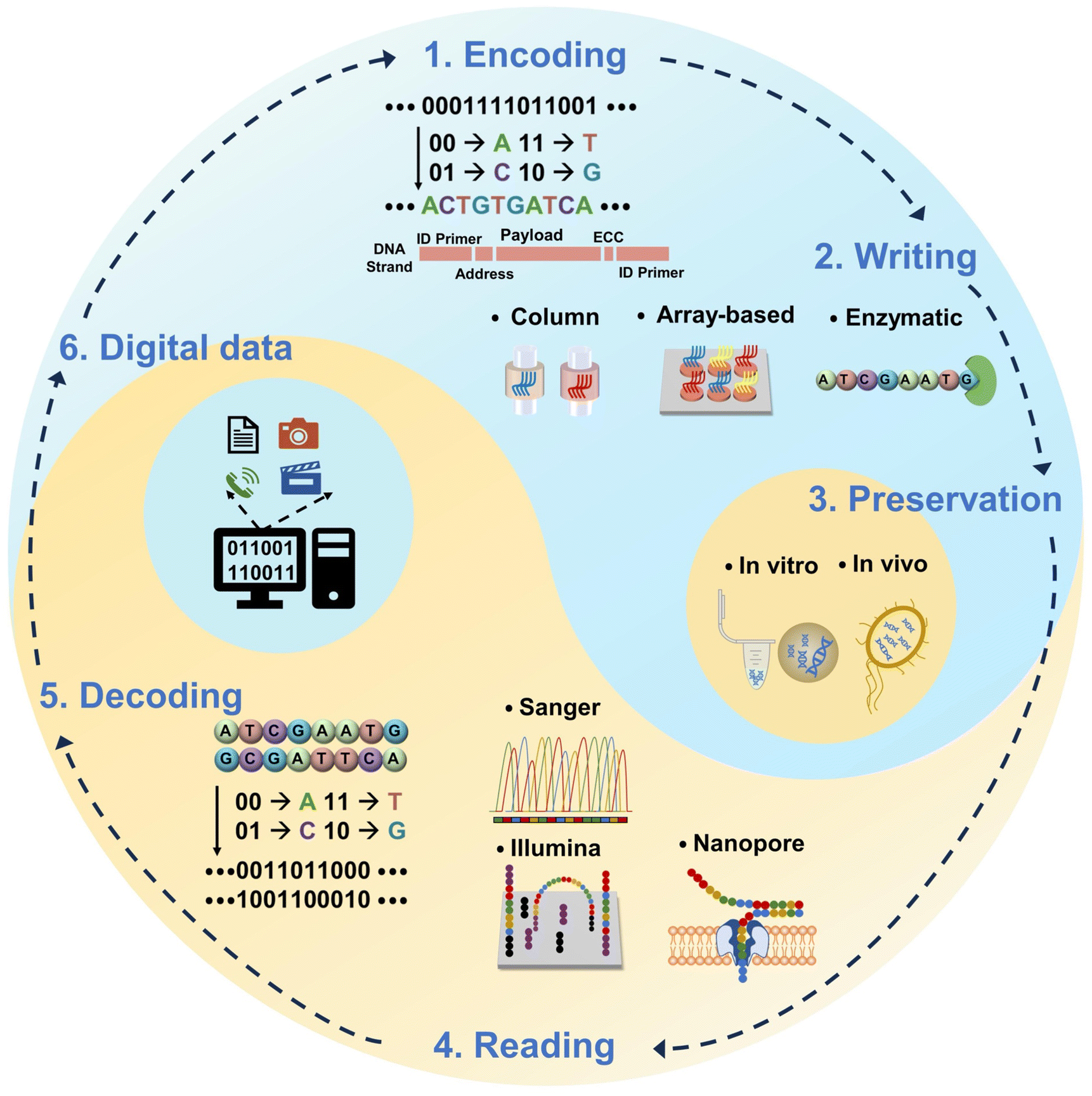 High-throughput DNA synthesis for data storage - Chemical Society ...
