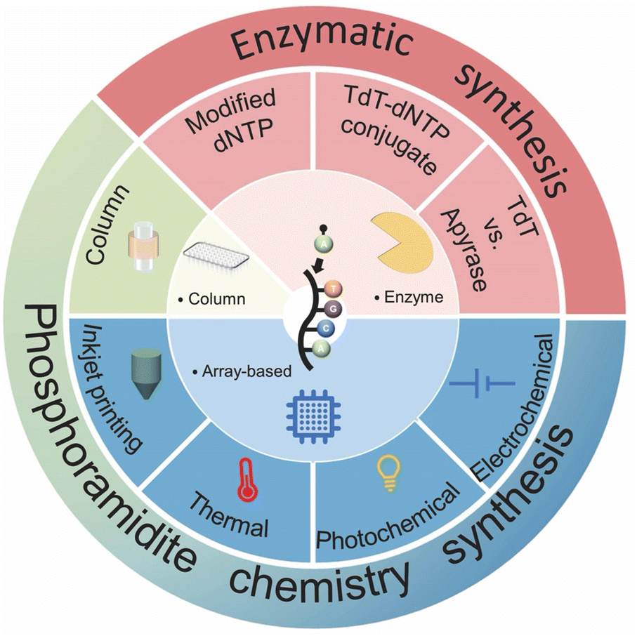 High-throughput DNA synthesis for data storage - Chemical Society ...
