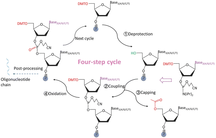High-throughput DNA synthesis for data storage - Chemical Society ...