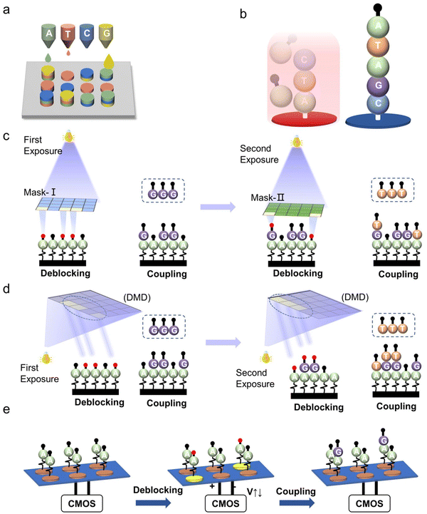 High-throughput DNA synthesis for data storage - Chemical Society ...