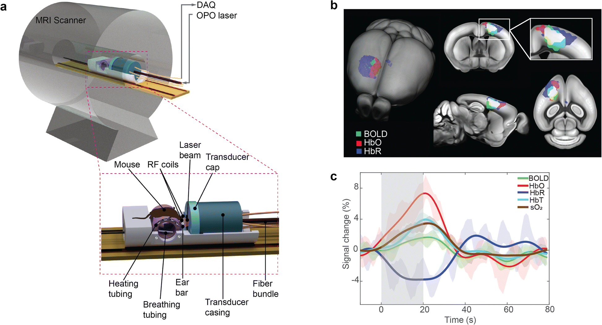 Multimodal optoacoustic imaging: methods and contrast materials - Chemical Society Reviews (RSC ...