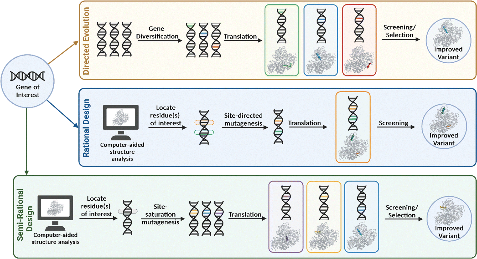 Biocatalysis: landmark discoveries and applications in chemical ...