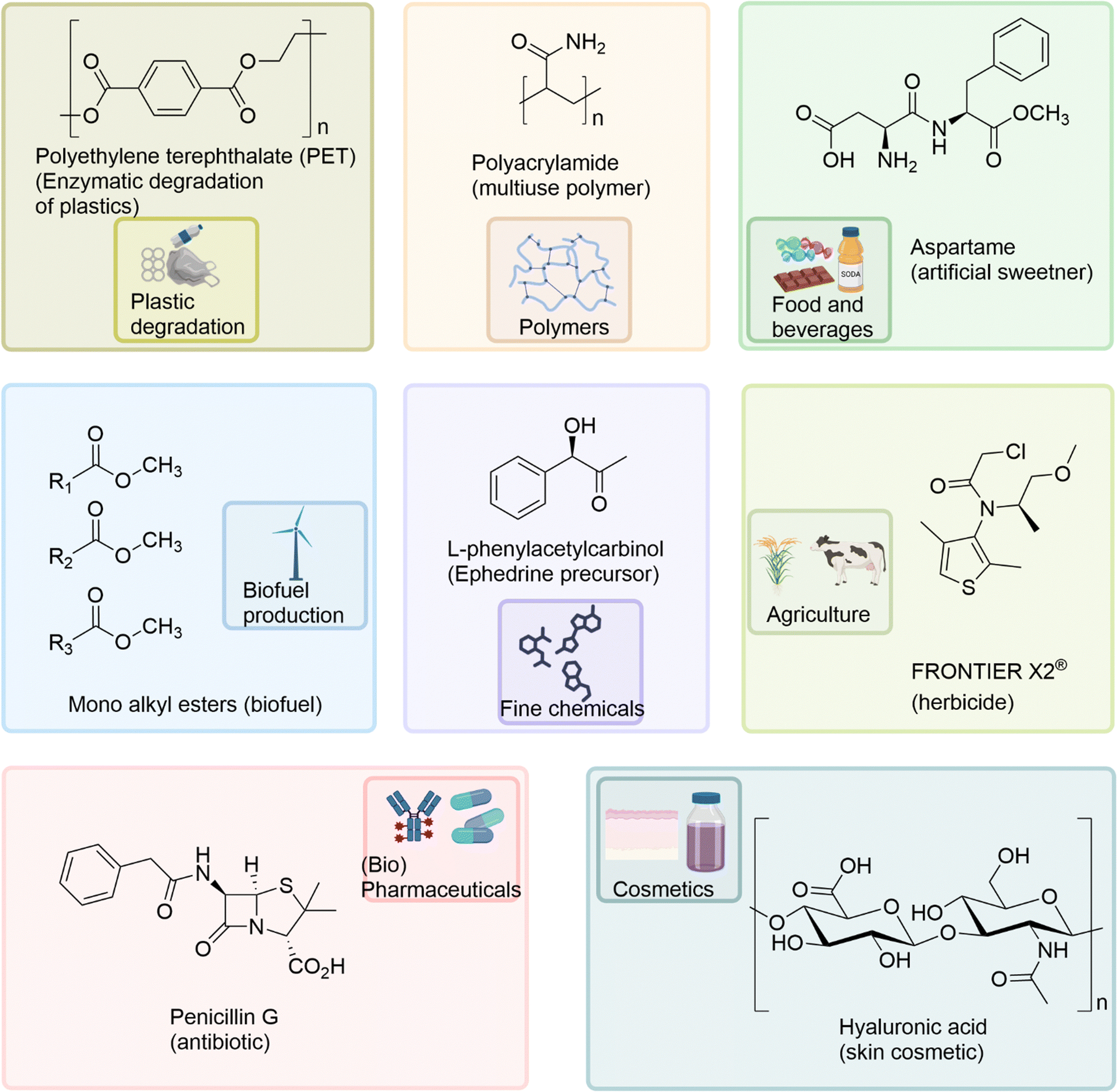 Biocatalysis: landmark discoveries and applications in chemical ...