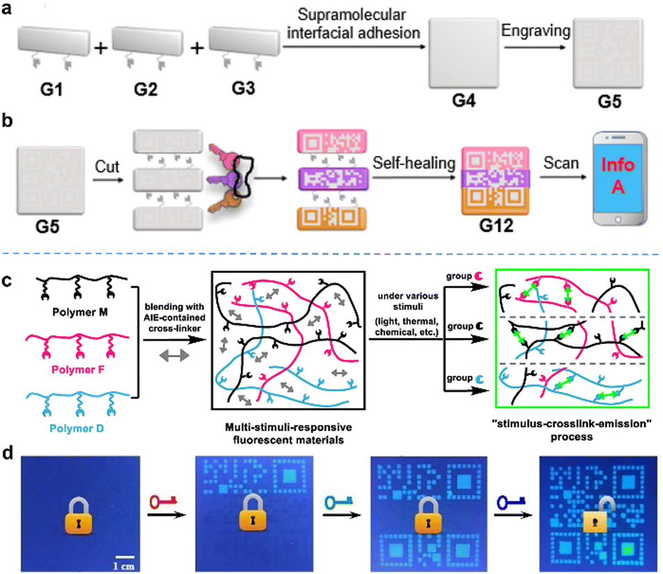 Stimulus-responsive polymer materials toward multi-mode and multi-level information anti ...