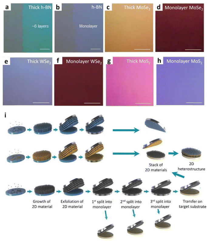 Layer-by-layer thinning of two-dimensional materials - Chemical Society ...