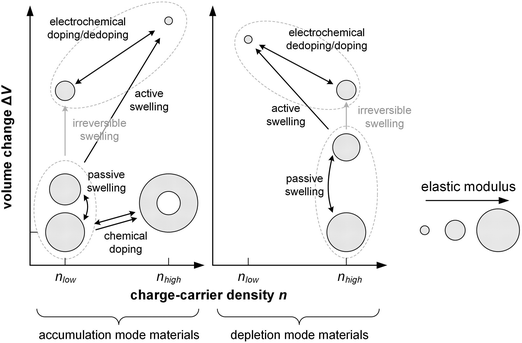 Impact of doping on the mechanical properties of conjugated polymers ...
