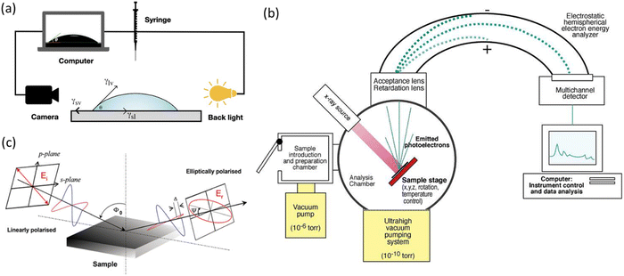 Peptide-based self-assembled monolayers (SAMs): what peptides can do ...