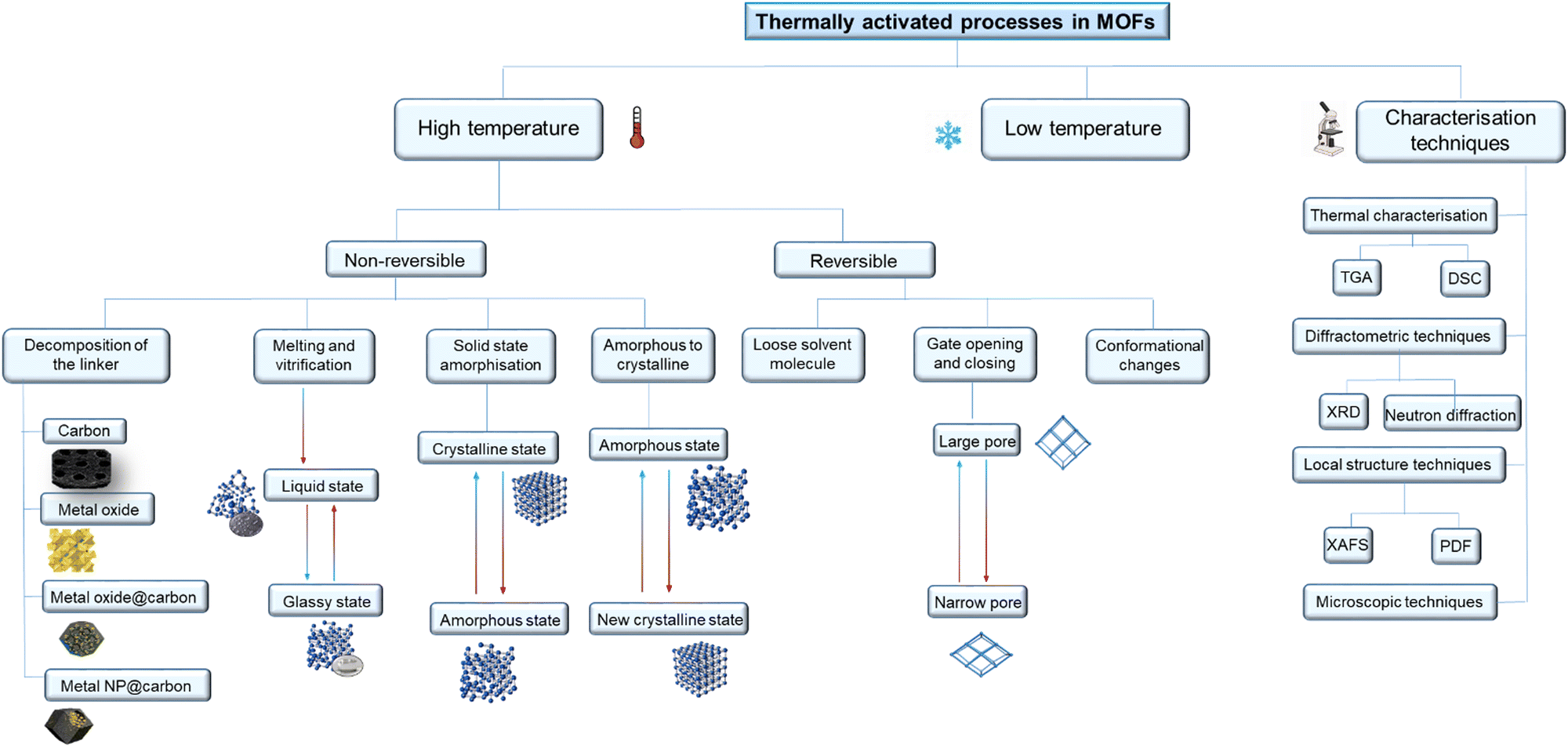 Thermally activated structural phase transitions and processes in metal–organic frameworks ...