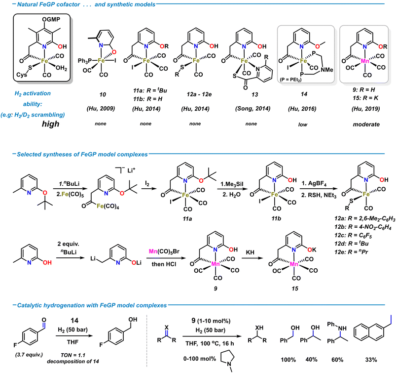 2-Pyridonates: a versatile ligand platform in 3d transition metal ...