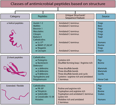 Progress and future of the computational design of antimicrobial ...