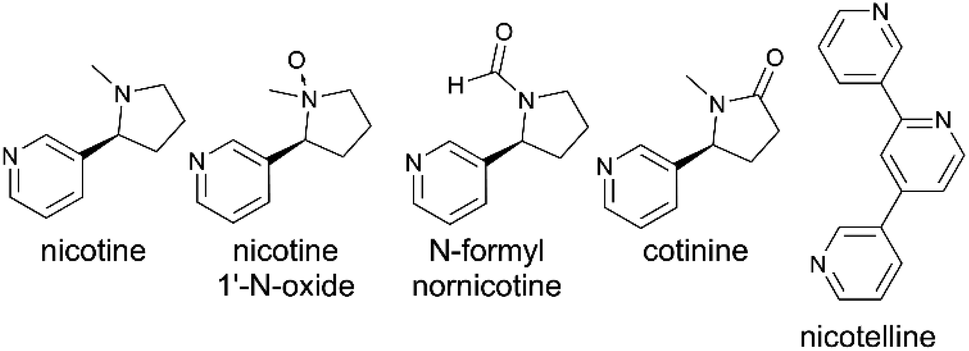 Temporal changes in thirdhand cigarette smoke film composition and ...