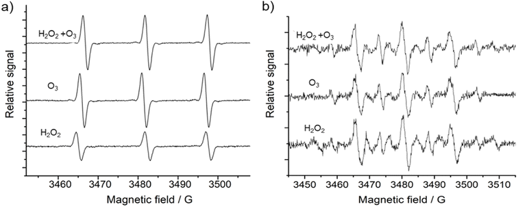 Antimicrobial activity of safe concentrations of ozone, hydrogen ...