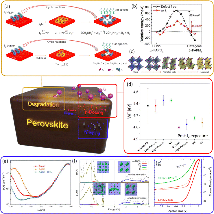 A comparison of molecular iodine evolution on the chemistry of lead and ...