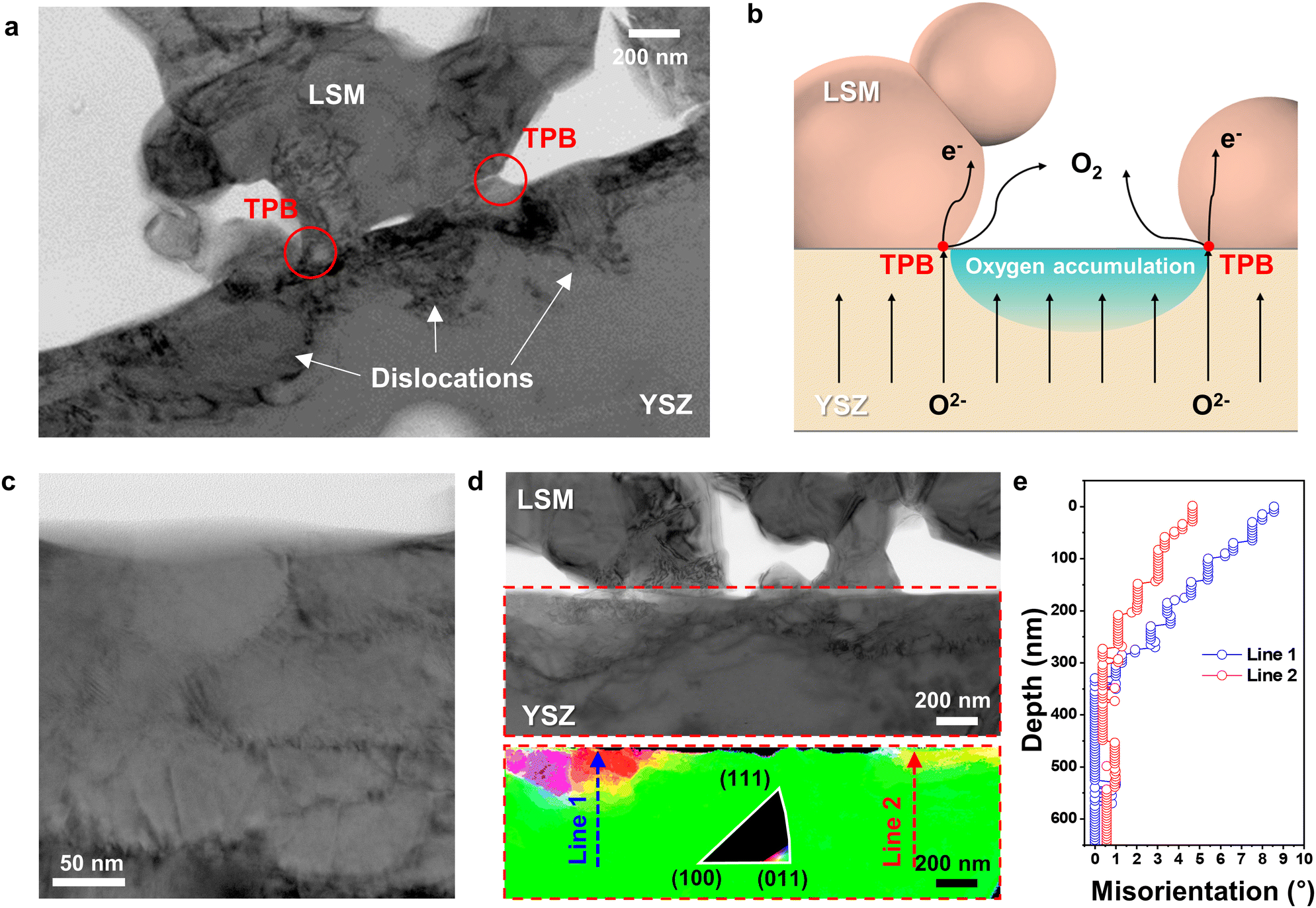 Unveiling the high-temperature degradation mechanism of solid oxide ...