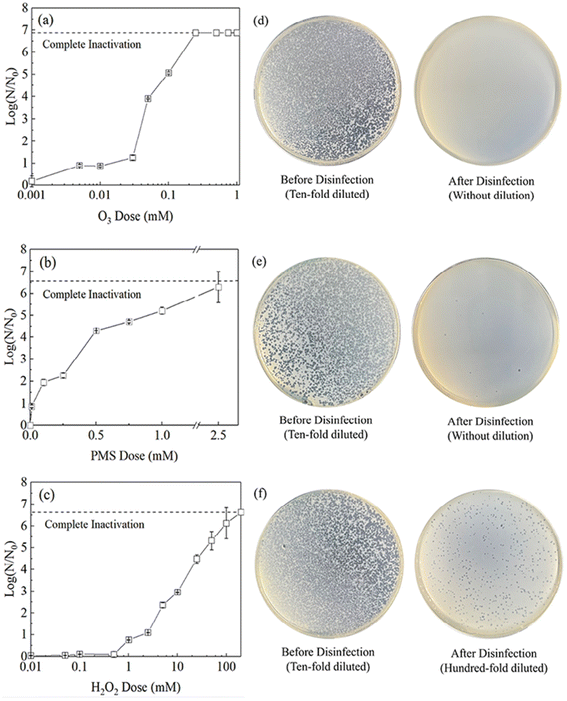 Ozone, hydrogen peroxide, and peroxymonosulfate disinfection of MS2 ...